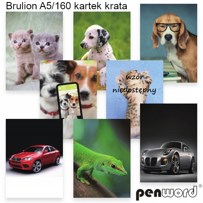 Brulion zeszyt a5/160 kartek kratka twarda oprawa - 9443828092 ... Brulion zeszyt a5/160 kartek kratka twarda oprawa - 9443828092 ...