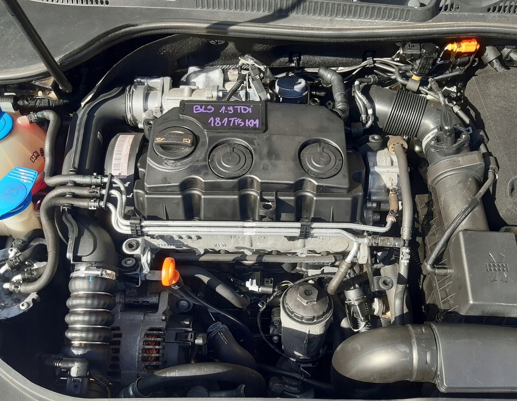 SILNIK BLS 1.9 TDI A3 8P GOLF V TOURAN PASSAT B6 - 12578508540 ...