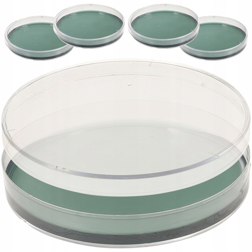 Plastic Playes Nutrient Agar Plate Petri Dish Agar - 14343475343 ...