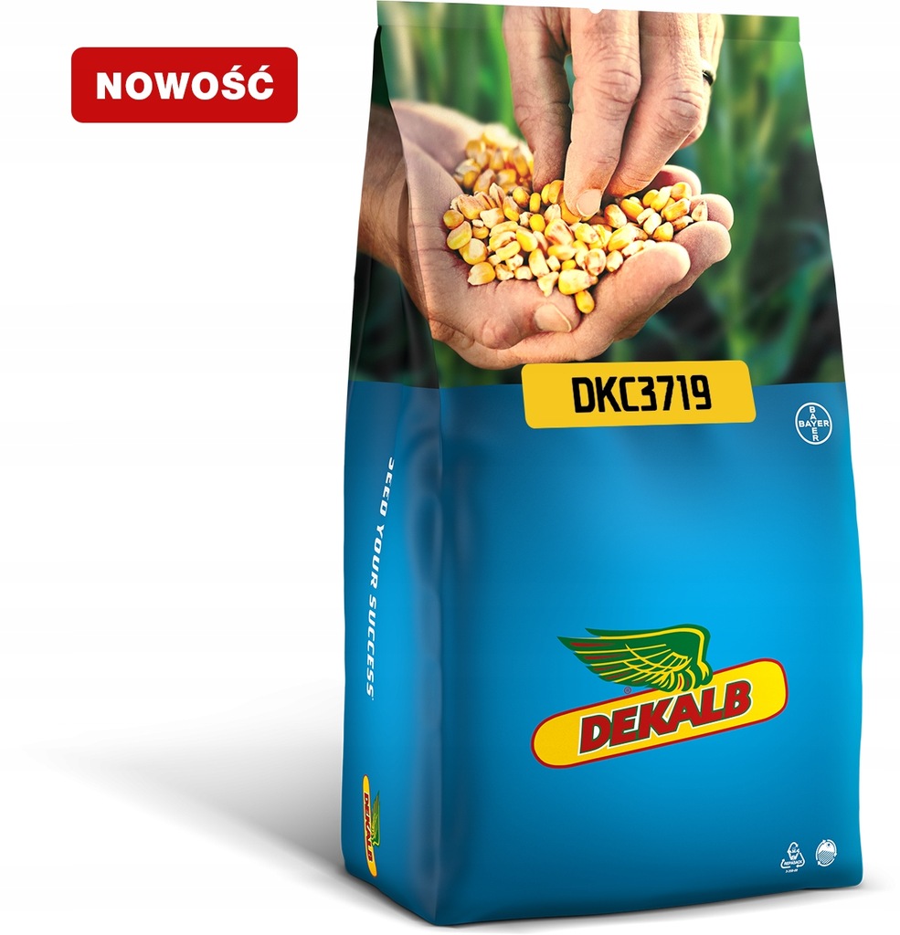 DKC 3719 Dekalb/Bayer 2023 Nasiona kukurydzy - 13592936013 - oficjalne ...