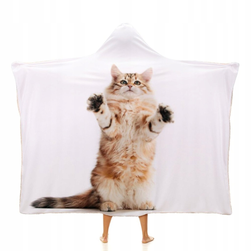 Koce z kapturemancient egyptian papyrus of ani boo - 13071268524 ...