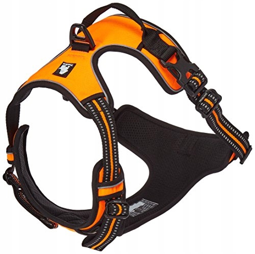 ODBLASKOWE SZELKI DLA PSA TRUELOVE Front Range S - 7699554053 ... ODBLASKOWE SZELKI DLA PSA TRUELOVE Front Range S - 7699554053 ...