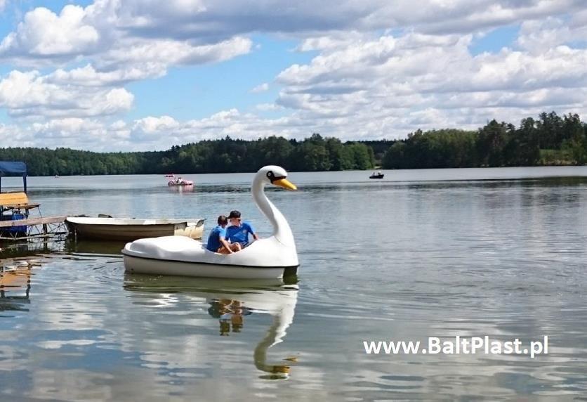 Rower wodny 4-os. ŁABĘDŹ! Oferta producenta! - 7352233518 - oficjalne ...