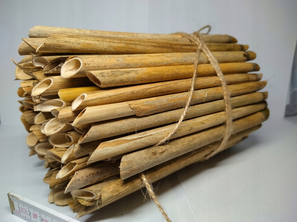 Trzcina dla pszczół murarek - sucha, ręcznie cięta pod skosem, kolanko ...