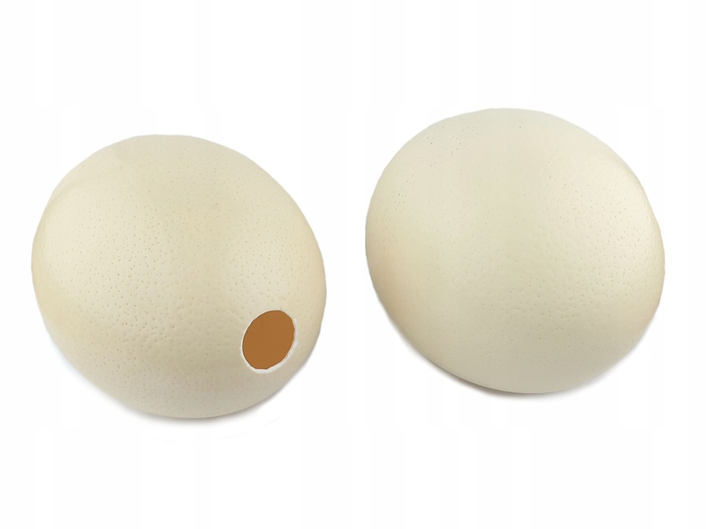 JAJO STRUSIA WYDMUSZKA duża polerowana 16 cm - 11644459486 - oficjalne ...