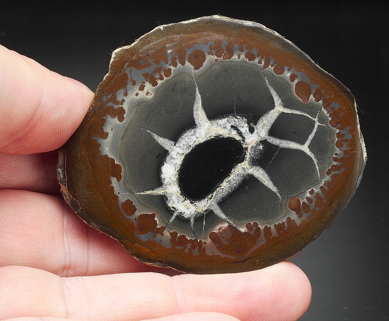 SEPTARIA - wspaniały rysunek - MAROKO /be464 - 12384438305 - oficjalne ...