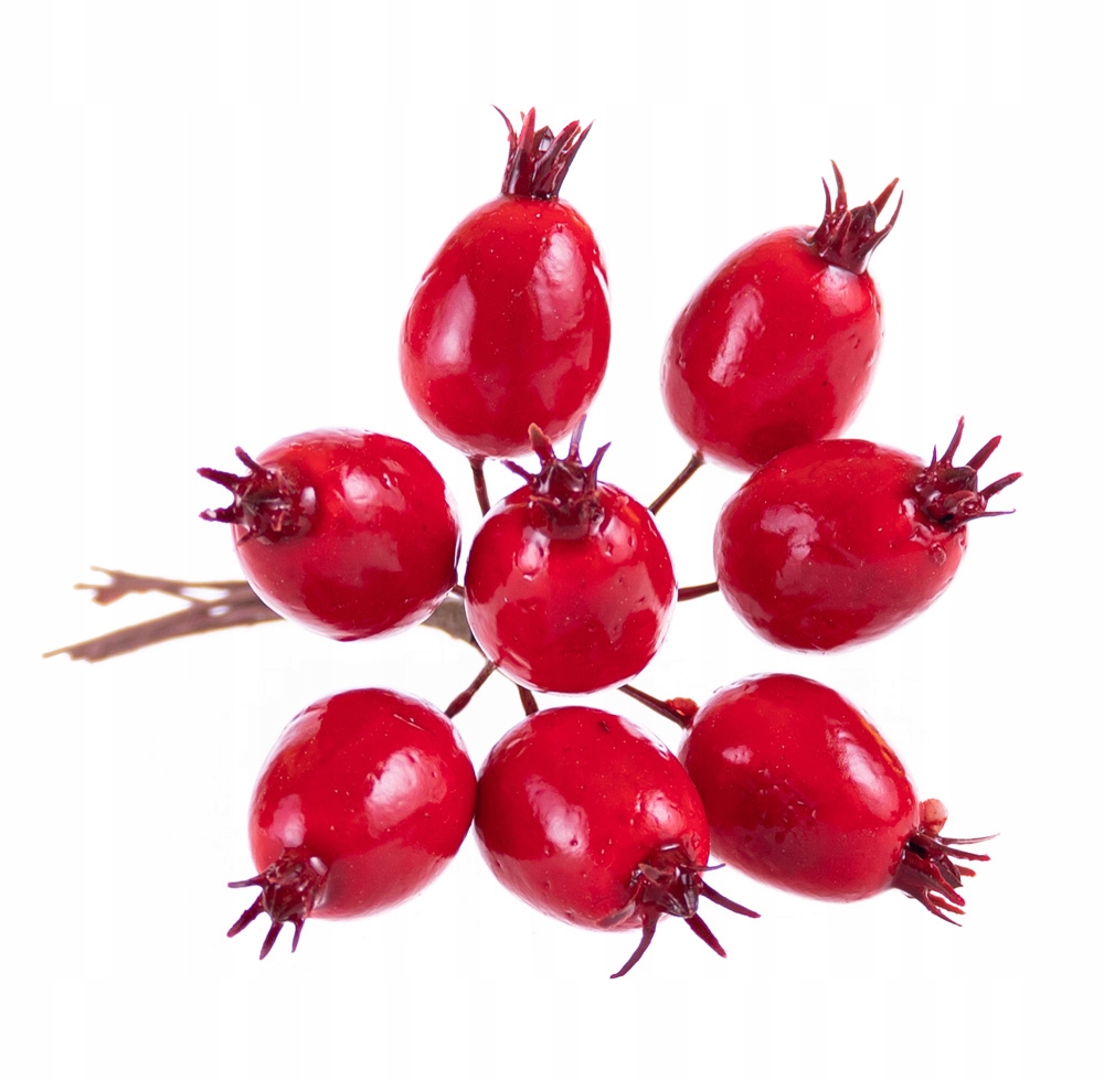 Dzika róża czerwone owoce wiązka 8szt stroiki - 12677754693 - oficjalne ...