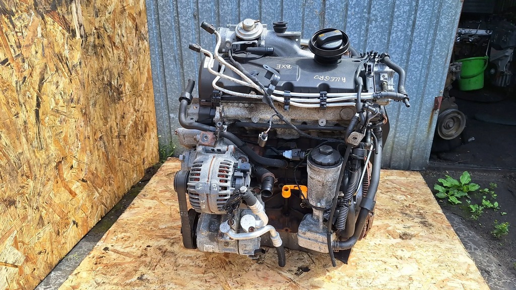 Silnik BXE VW GOLF V JETTA III OCTAVIA II PASSAT B6 TOURAN 1.9 TDI ...