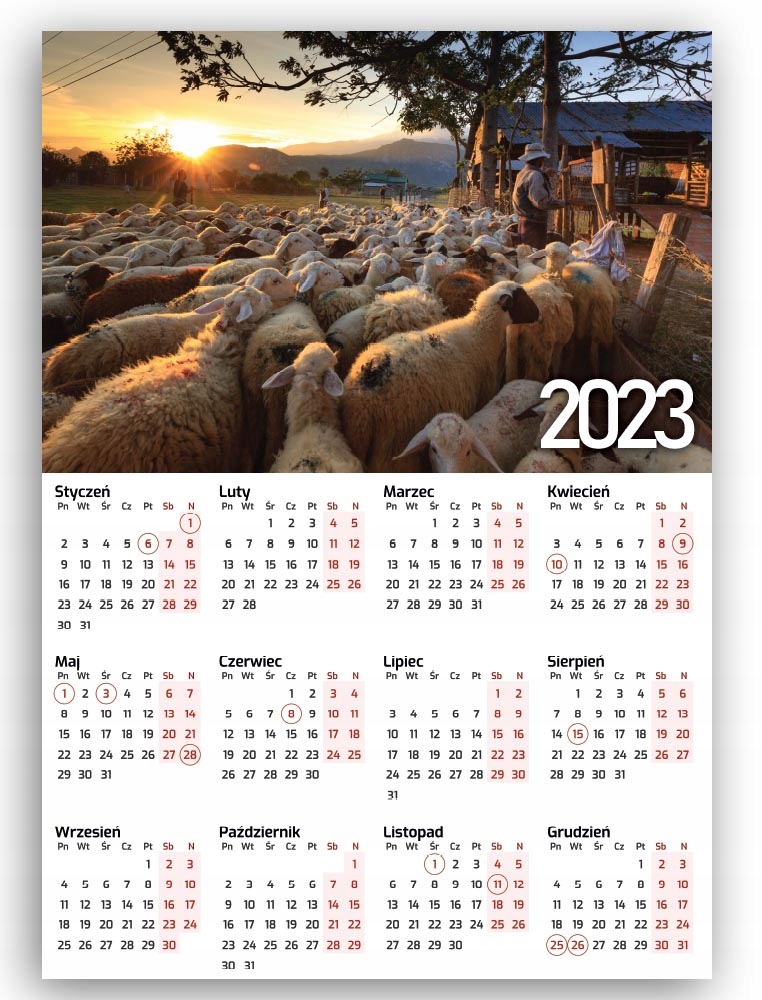 KALENDARZ PLAKATOWY A3 PDM ROLNIK 07 2023 - 12711713091 - oficjalne archiwum Allegro