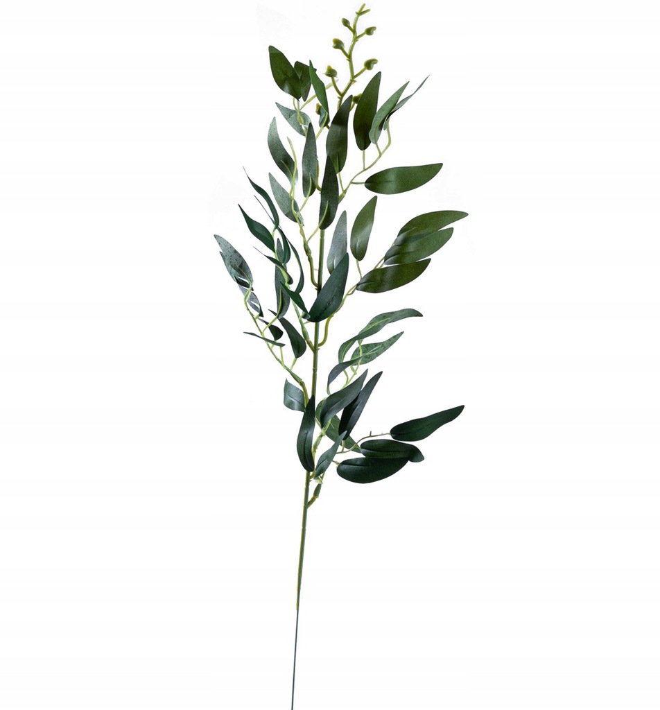 Ruskus zielony gałązka sztuczna do kompozycji - 12974099892 - oficjalne ...