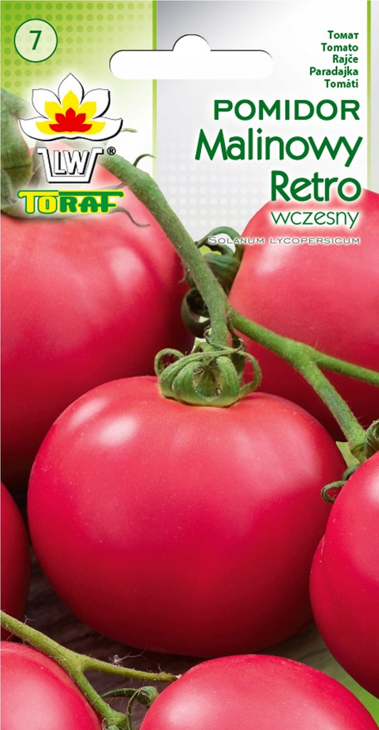 POMIDOR MALINOWY WYSOKI RETRO WCZESNY NASIONA 0,5g - 7867287905 - oficjalne archiwum Allegro