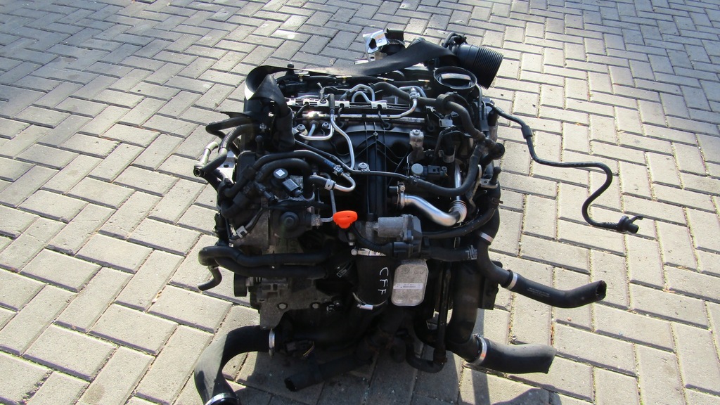 SILNIK VW SKODA SEAT 2.0 TDI CFF CFFB KOMPLETNY #@ - 12824626802 - oficjalne archiwum Allegro