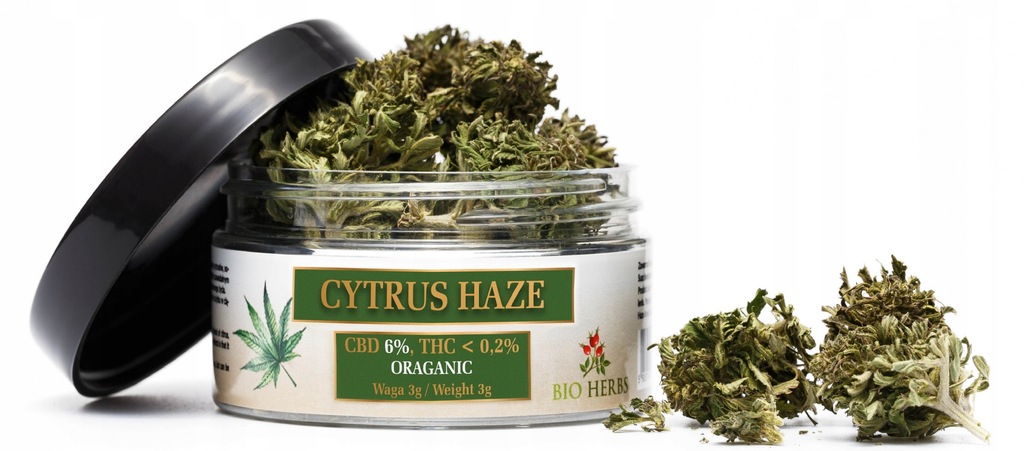 SUSZ KONOPNY 3g CYTRUS HAZE CBD 6% THC