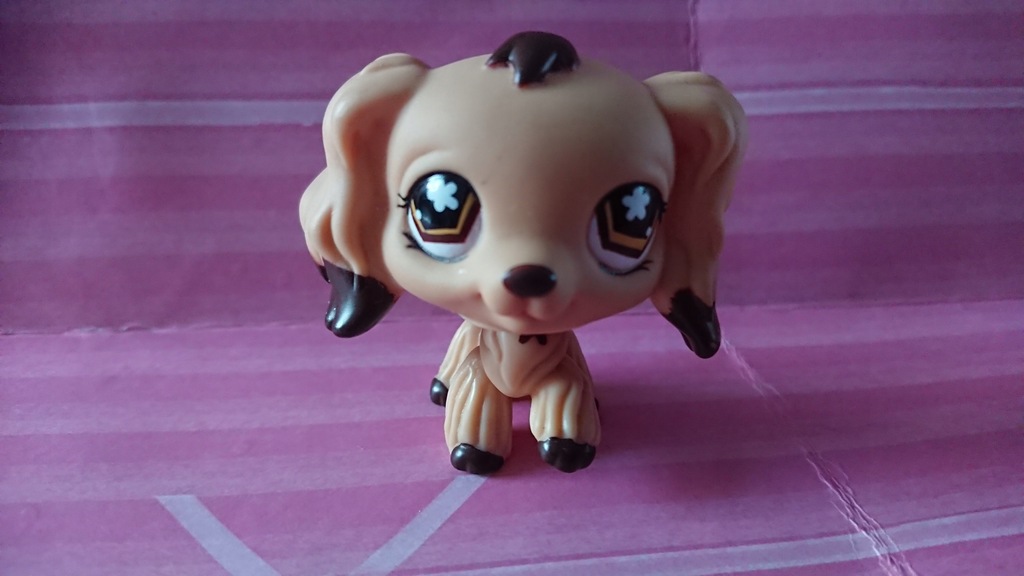 Littlest Pet Shop Spaniel Oryginał Piesek #575 - 9505011931 - oficjalne ...