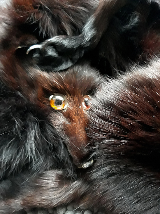 VINTAGE KOŁNIERZ CZARNY LIS SYBERYJSKI FUTRO SZAL - 9997306227 ...