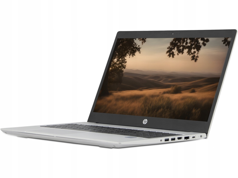 Laptop HP ProBook 450 G6 15,6 " Intel Core i5 8 GB / 256 GB IT388L - 16998064033 - oficjalne ...