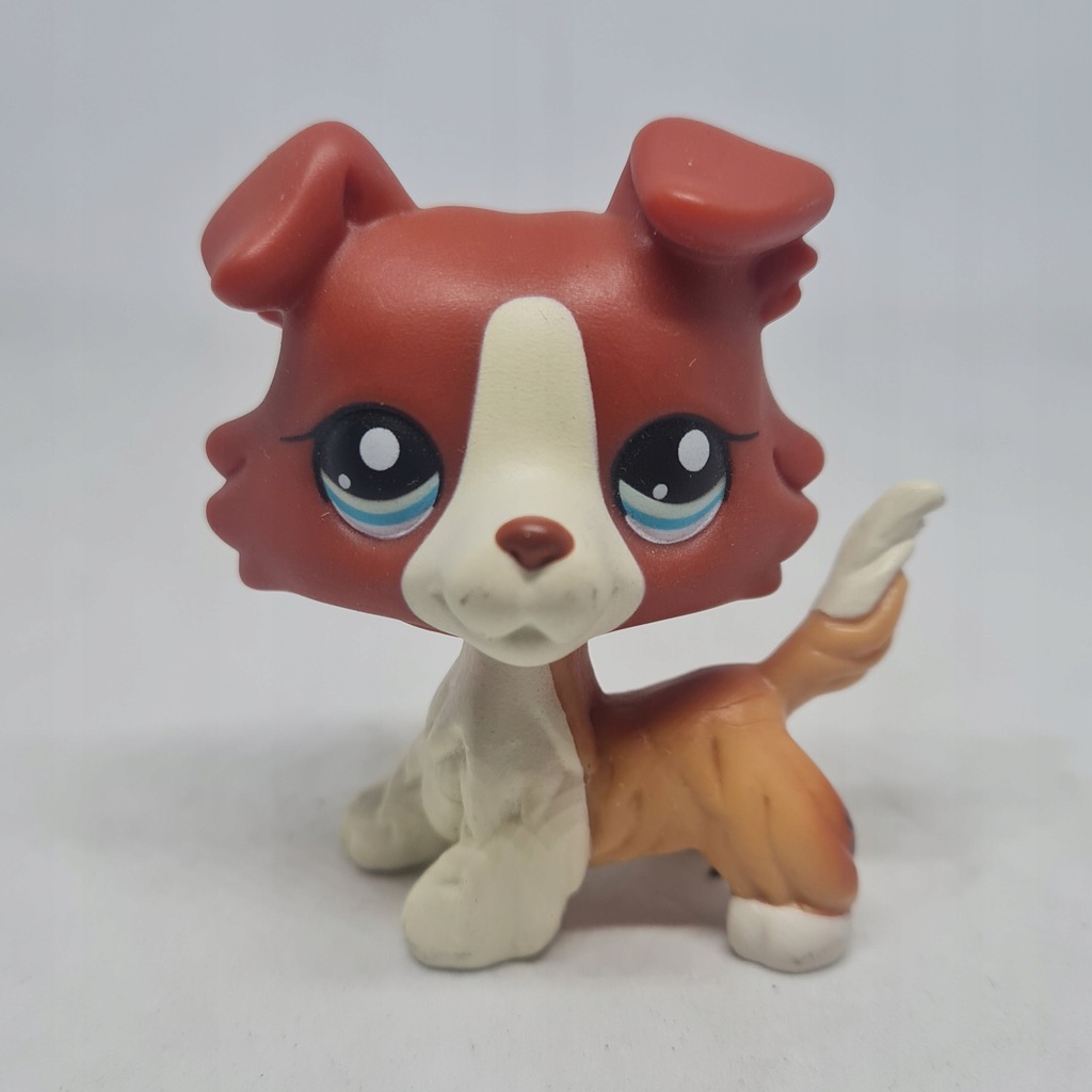 Lps collie#1542 -100% oryginał przezroczysta rurka - 13116086907 ...