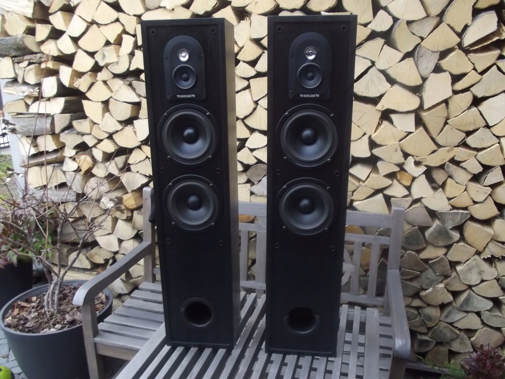 Kolumny głośniki Raveland X 2508 150 / 400 watt - 13217856350 ...