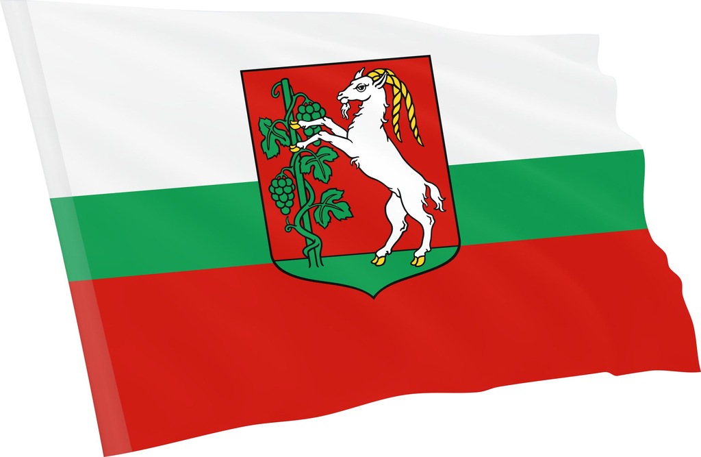 Flaga flagi Lublina Lublin 150x90cm - 7302358189 - oficjalne archiwum ...