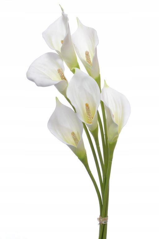 BUKIET KALII KALIA - 13647618926 - oficjalne archiwum Allegro