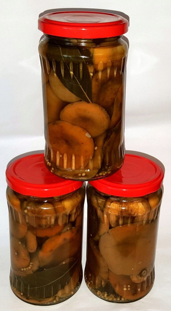 Domowy Mleczaj Rydz marynowany 370ml atest Rydze - 12688339337 ...