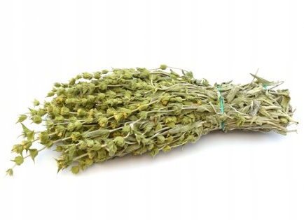 GOJNIK Herbata Górska 200g Szałwia Libańska CAŁA - 7666564000 ...