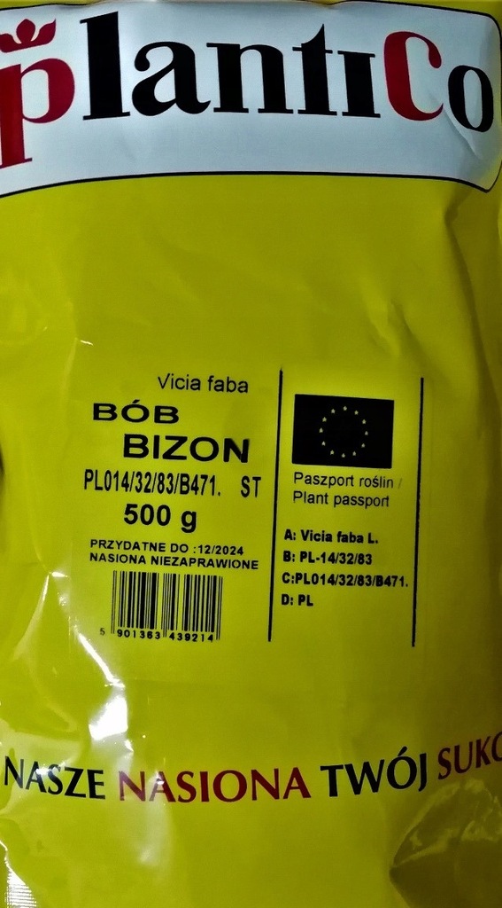 BÓB BIZON WCZESNY DUŻE NASIONA 500G 0,5KG WAŻ2024R - 10161232906 - oficjalne archiwum Allegro