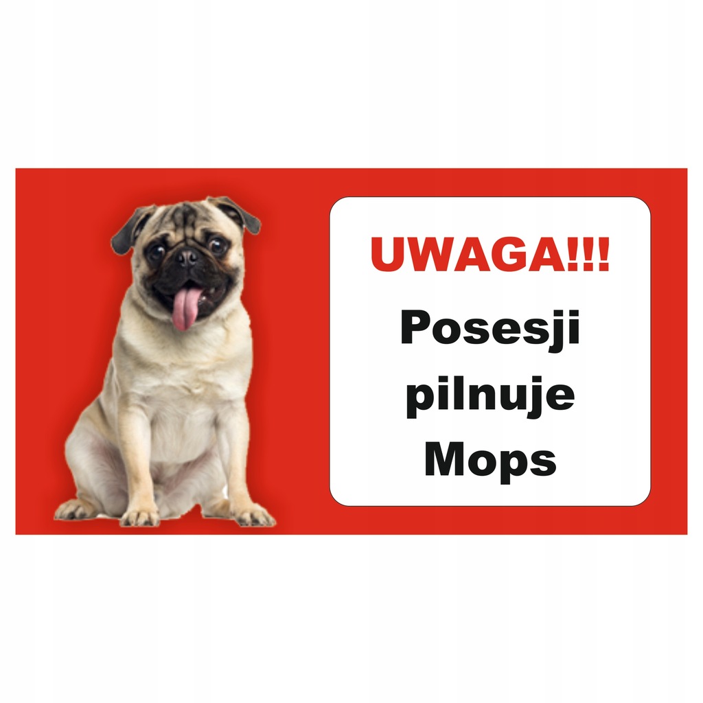 Tabliczka zły pies mops psy rasowe - 8431739237 - oficjalne archiwum ...