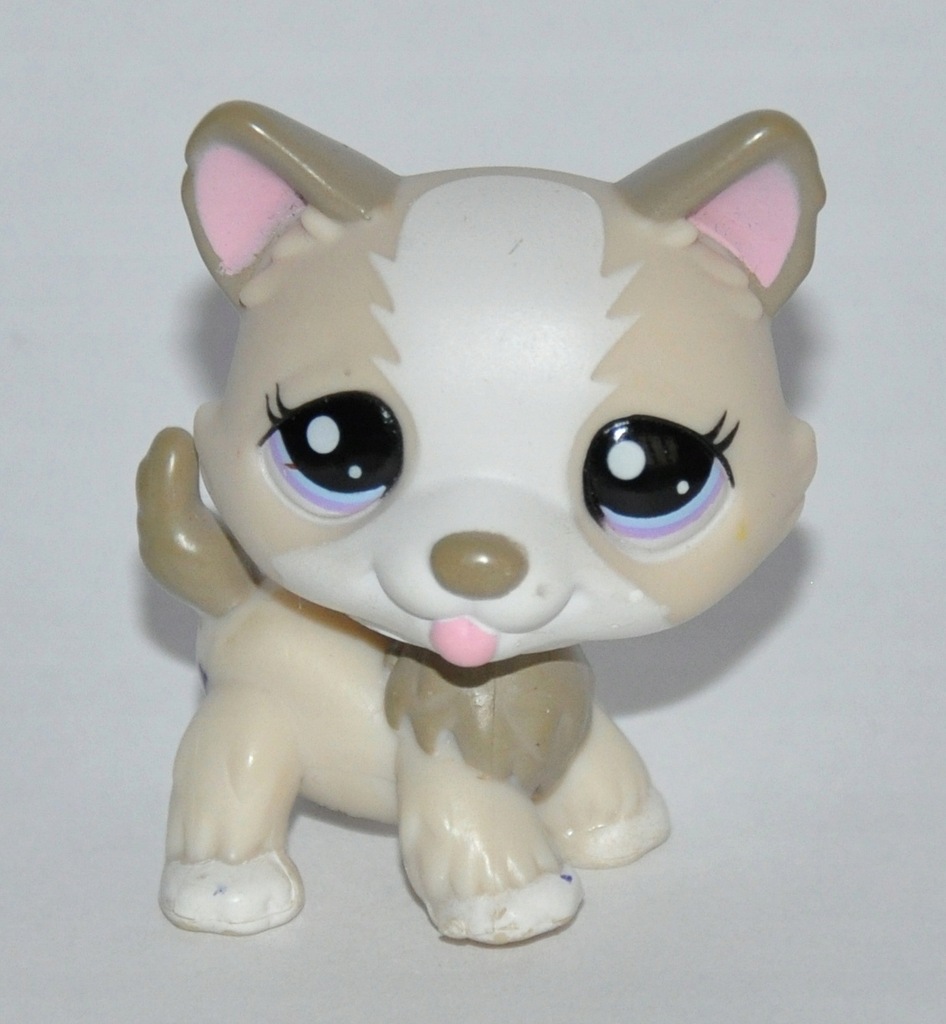 Littlest Pet Shop piesek, wilczek Lps Husky #1817 - 14111390345 ...