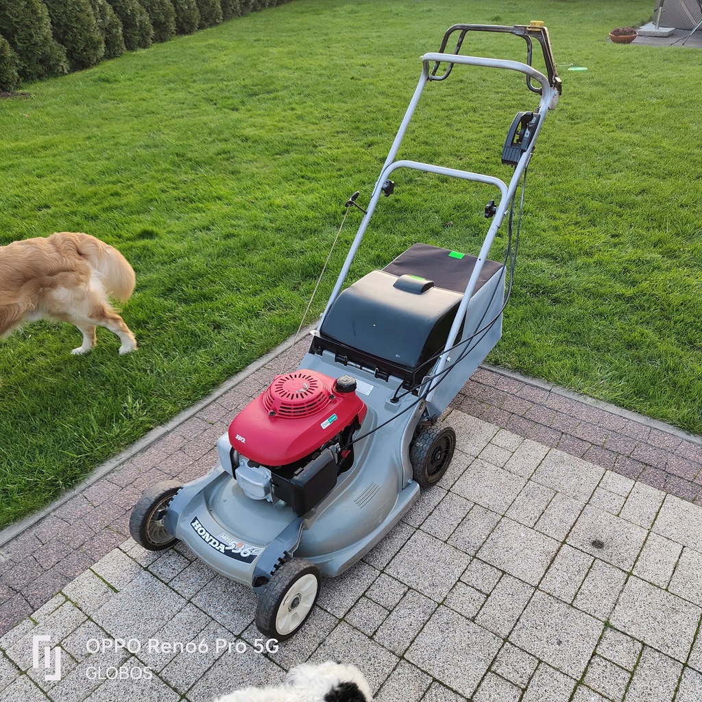 Kosiarka spalinowa HONDA HRB 536C napęd + kosz - 13599029969 ...