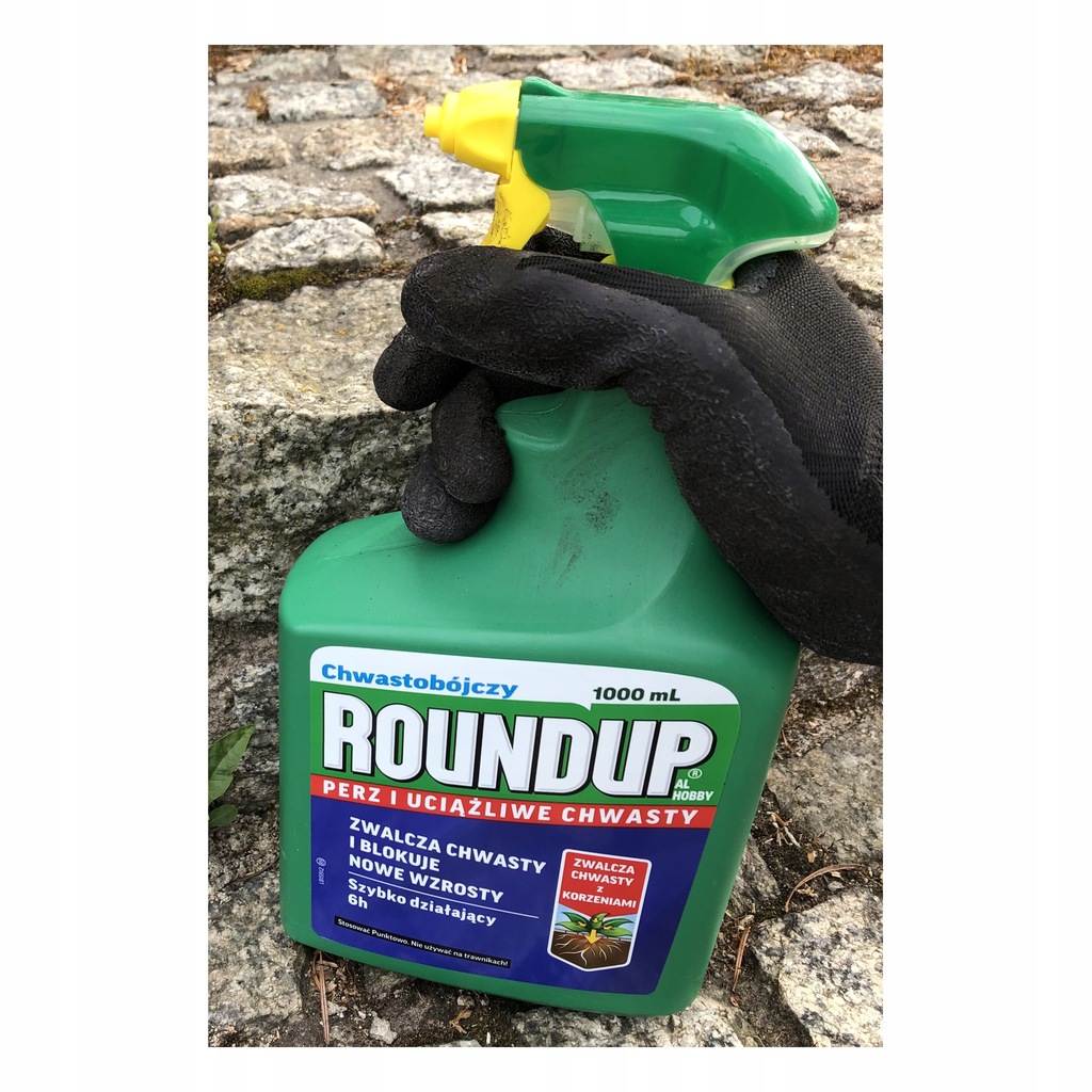 ROUNDUP HOBBY GOTOWY SPRAY NA CHWASTY 1L NA 30 m² - 13699403378 ...
