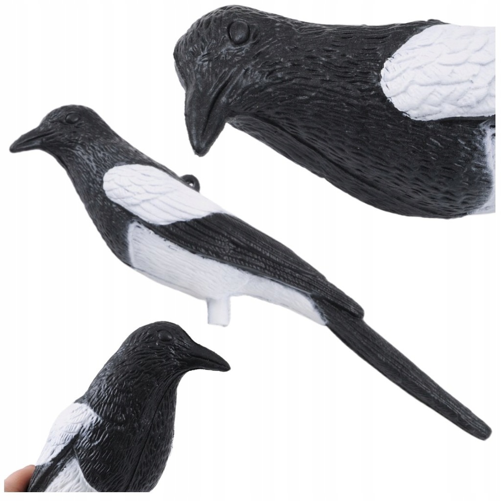 SROKA PTAK ODSTRASZACZ GRYZONI WABIK DEKORACJA - 13505282953 - oficjalne archiwum Allegro