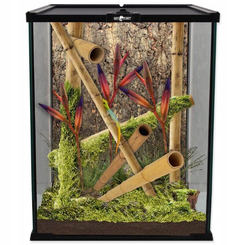 Repti Planet terrarium szklane paludarium 20x20x30 - 12902781097 ...