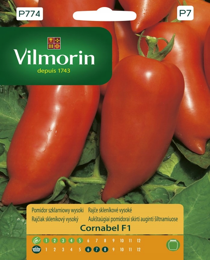 POMIDOR CORNABEL F1 HIT- super smaczny i soczysty - 11638215104 - oficjalne archiwum Allegro