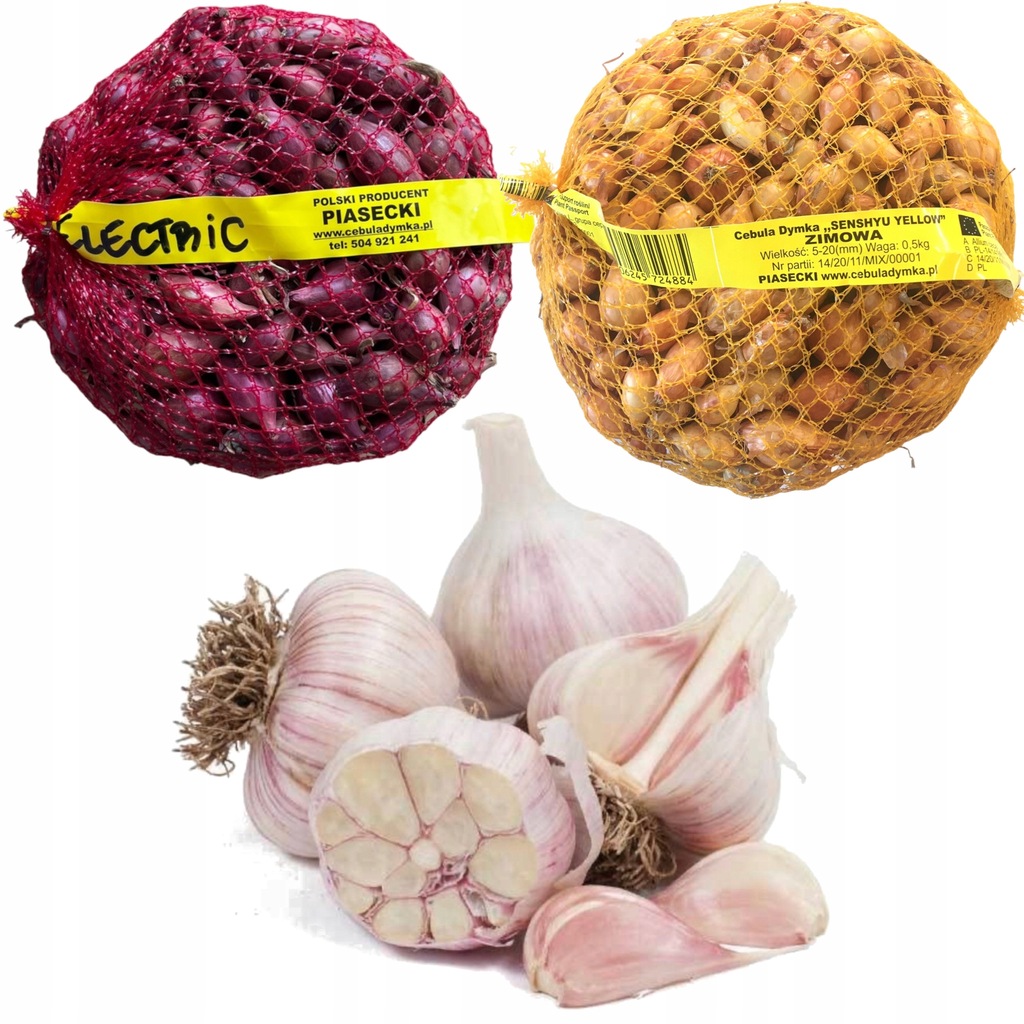MIX Cebula dymka ZIMOWA 2x1kg + Czosnek Harnaś 1kg - 14136711792 ...