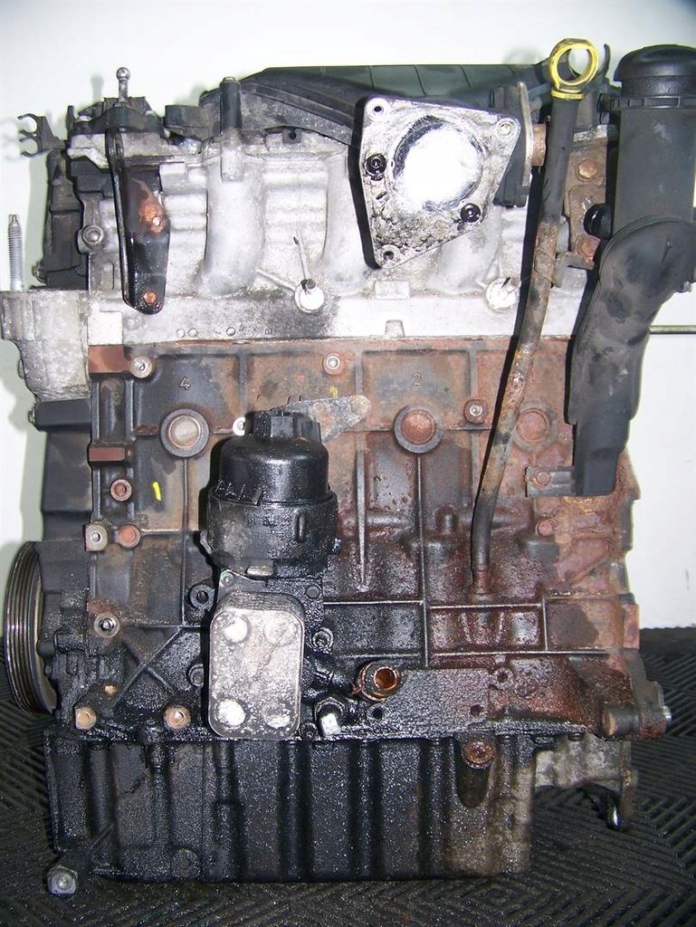 C30 S40 V50 KUGA 4X4 2.0D TDCI SILNIK D4204T G6DG - 10459422387 - oficjalne archiwum Allegro