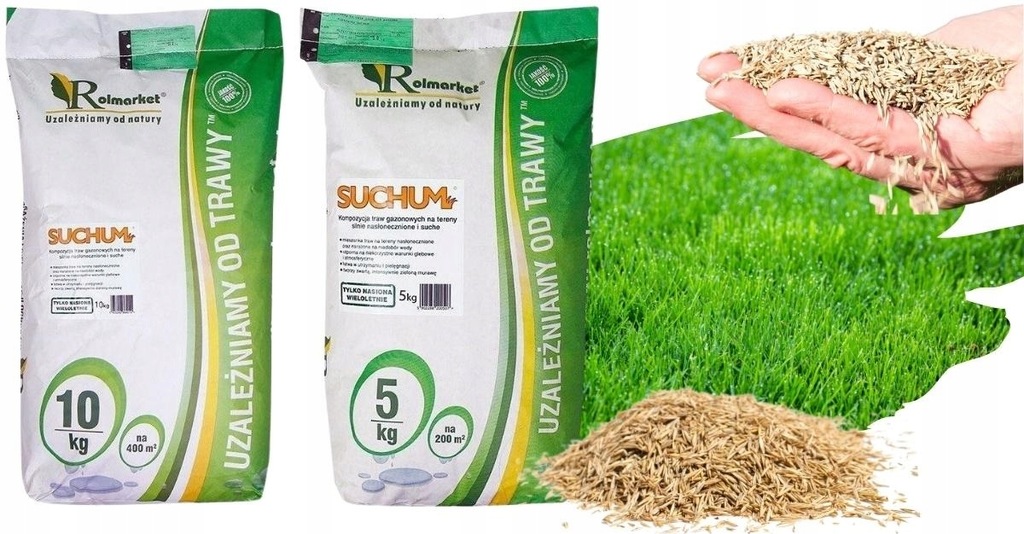 MOCNA TRAWA NA TERENY SUCHE NASIONA sahara 15kg - 9725357594 ...