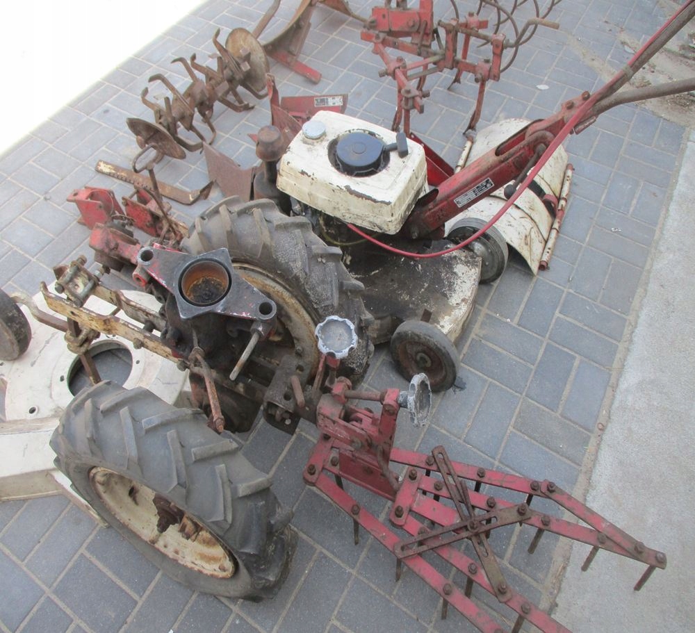 TRAKTOREK JEDNOOSIOWY DZIK GLEBOGRYZARK TERRA VARI - 12558095909 ...