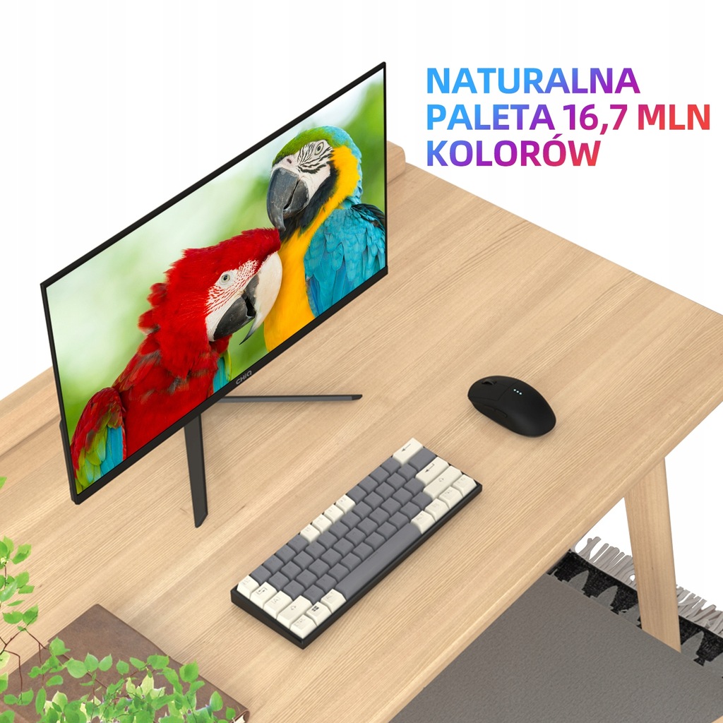 Ultrapłaski monitor CHiQ 22 cale antyodblaskowym - 12177991627 ...