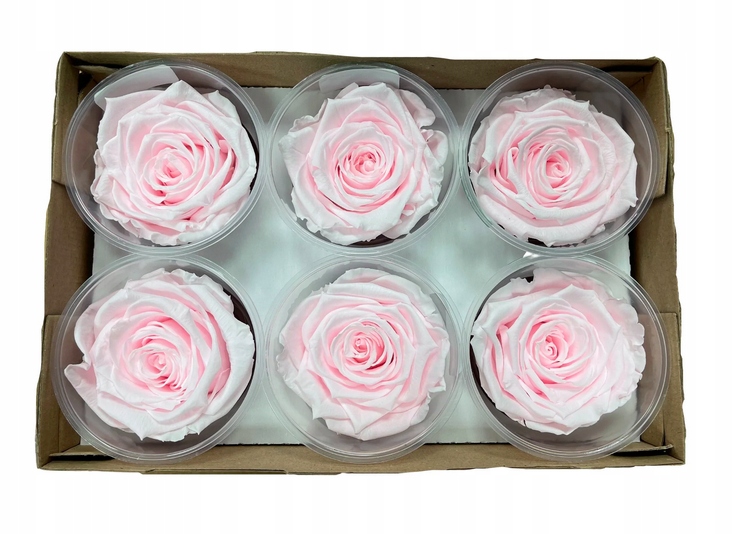 różowa WIECZNA RÓŻA główki XL Rose Amor KOLORY - 13715440373 ...