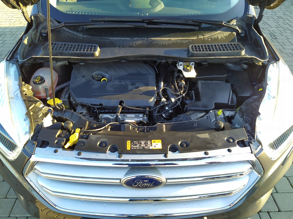 FORD KUGA II (DM2) 1.5 EcoBoost 120 KM - 8838296147 - oficjalne ...