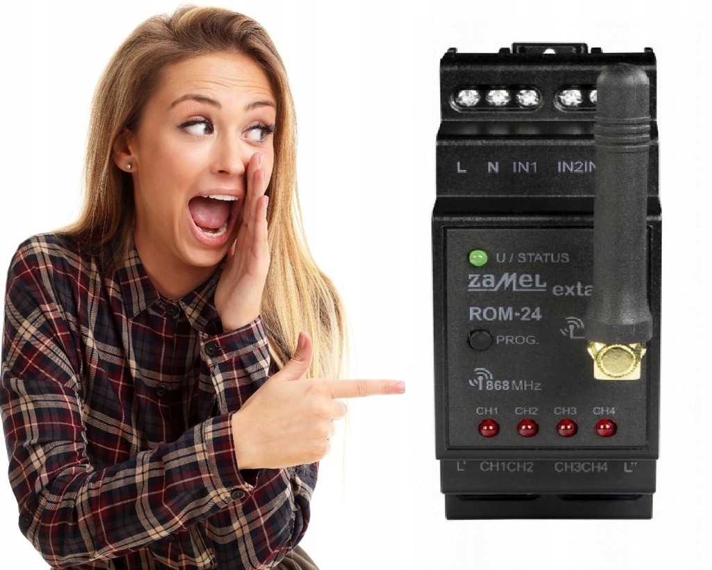 RADIOWY ODBIORNIK 4-KANAŁOWY EXTA ZAMEL ROM-24 - 12667716176 ...