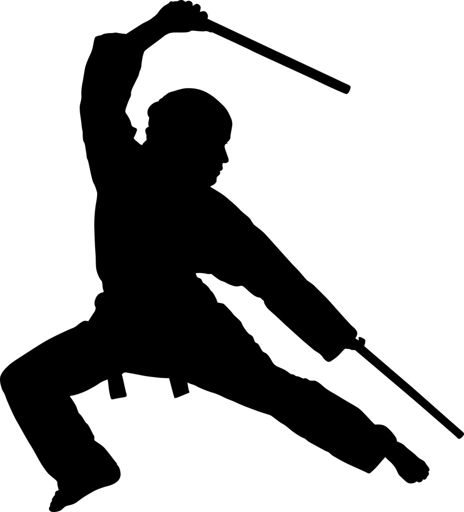 naklejki KARATE sztuki walki Kung fu Aikido Judo - 9812255121 ... naklejki KARATE sztuki walki Kung fu Aikido Judo - 9812255121 ...