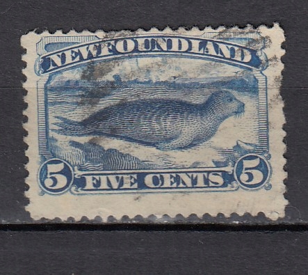 Nowa Funlandia rzadki - 13275604246 - oficjalne archiwum Allegro