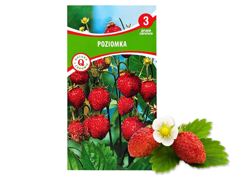 POZIOMKA BEZROZŁOGOWA GIGANT - NASIONA 200mg - 12005735060 - oficjalne ...