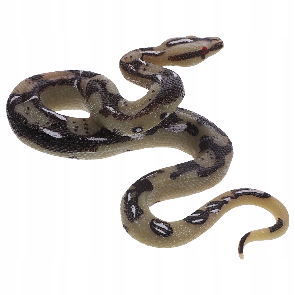 Toy Snakes That Look Real - 14537699221 - oficjalne archiwum Allegro