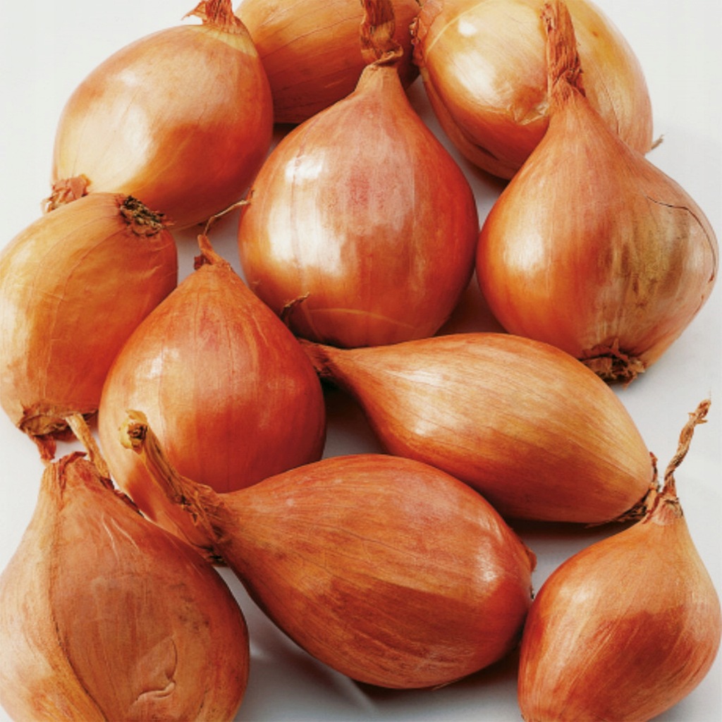 Cebula Dymka Szalotka żółtazdrowa 0,25 kg - 11782850700 - oficjalne ...