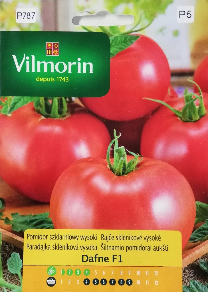 Pomidor szklarniowy wysoki DAFNE F1 200mg - 11758922133 - oficjalne archiwum Allegro
