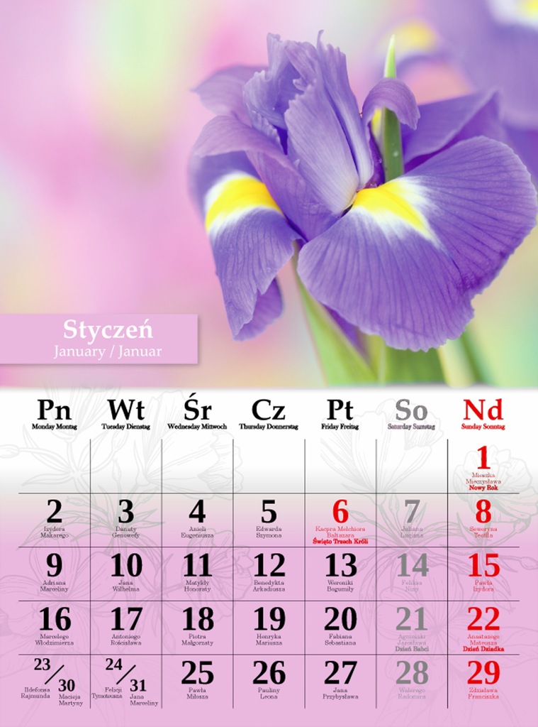 Kalendarz 2023 ścienny planszowy 23x31cm KWIATY - 12795378319 - oficjalne archiwum Allegro