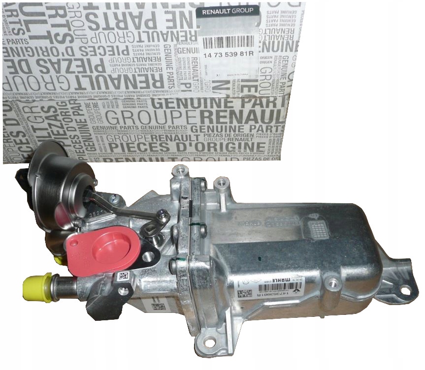 CHŁODNICA SPALIN EGR R MASTER 3 2.3DCI 147353981R - 8899398324 ...